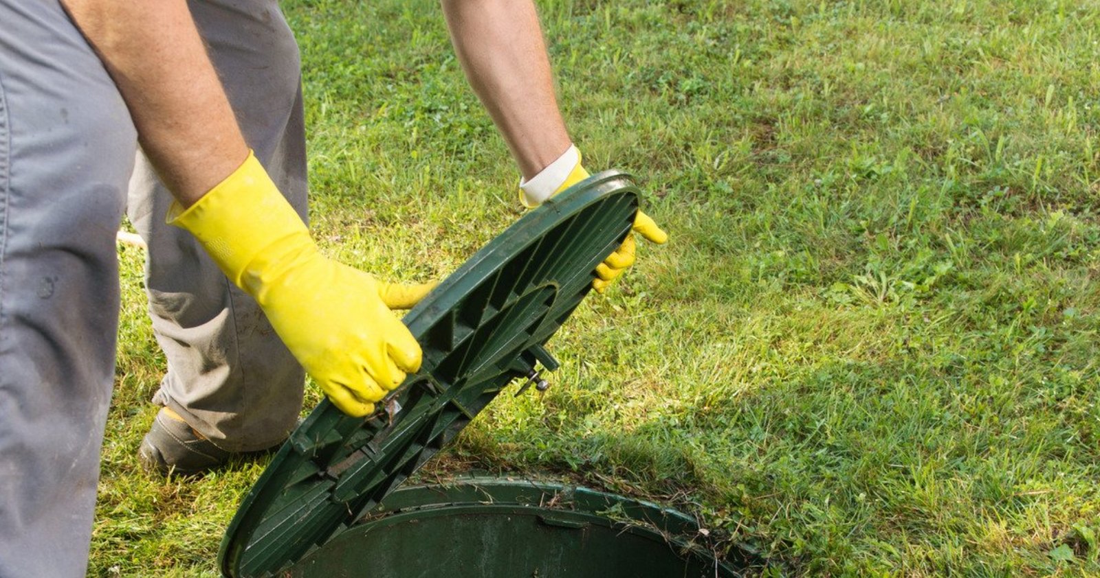 Planter un camélia en pot ou pleine terre : tout ce qu’il faut savoir ...